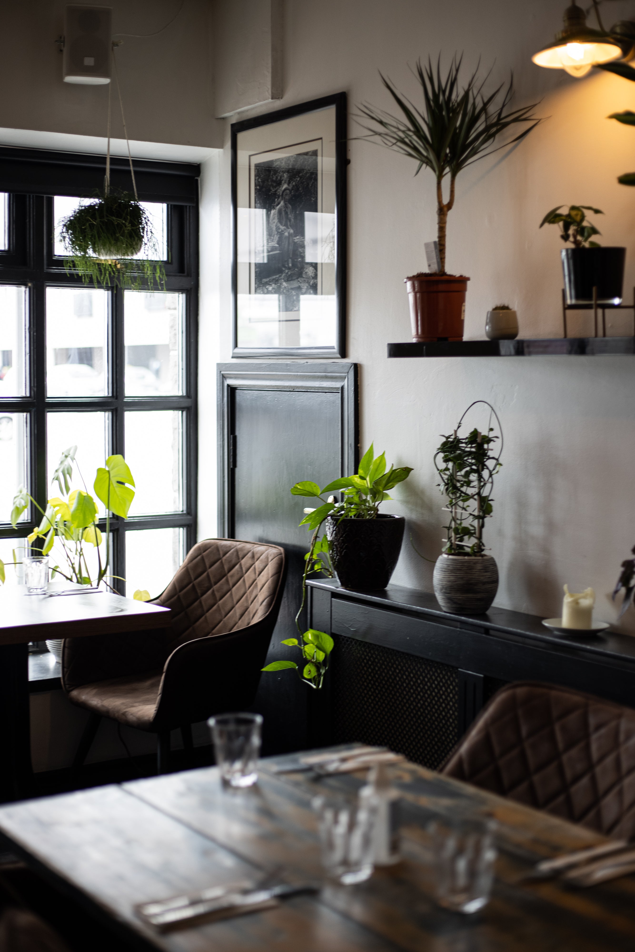 Gallery – Rúibín